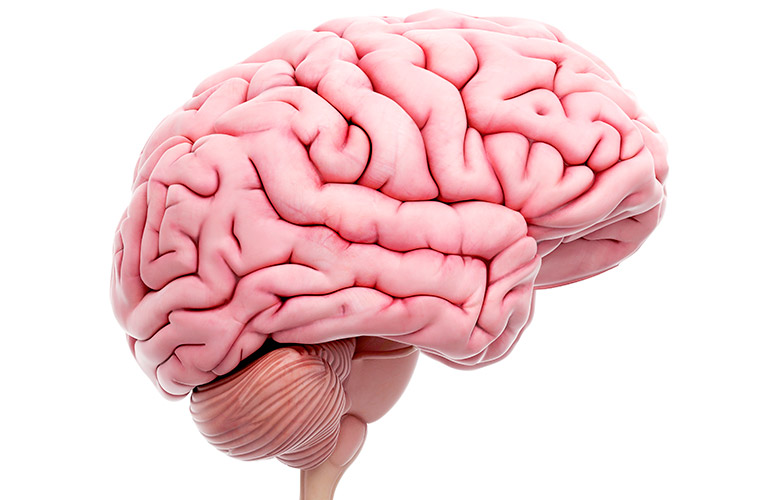 14 weird brain exercises that help you get smarter | Reader's Digest ...