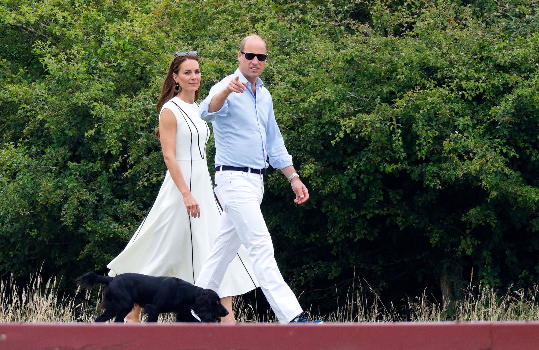 Noble pups! Meet the royal dogs of the British monarchy | Reader's ...