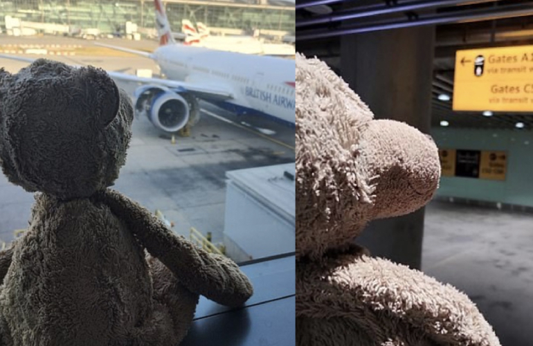 Beloved teddy bear left in airport lounge rescued by airline | Reader's ...